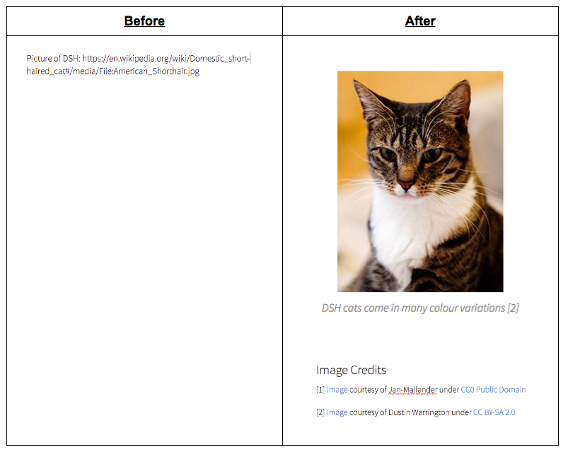 Top Hat Authoring: Best Practices
