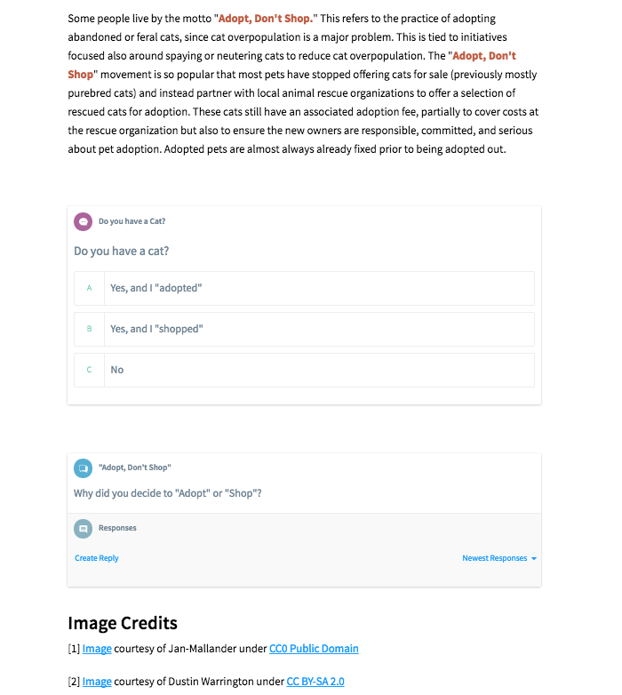 Top Hat Authoring: Best Practices
