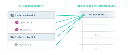 Welcome to Top Hat Support