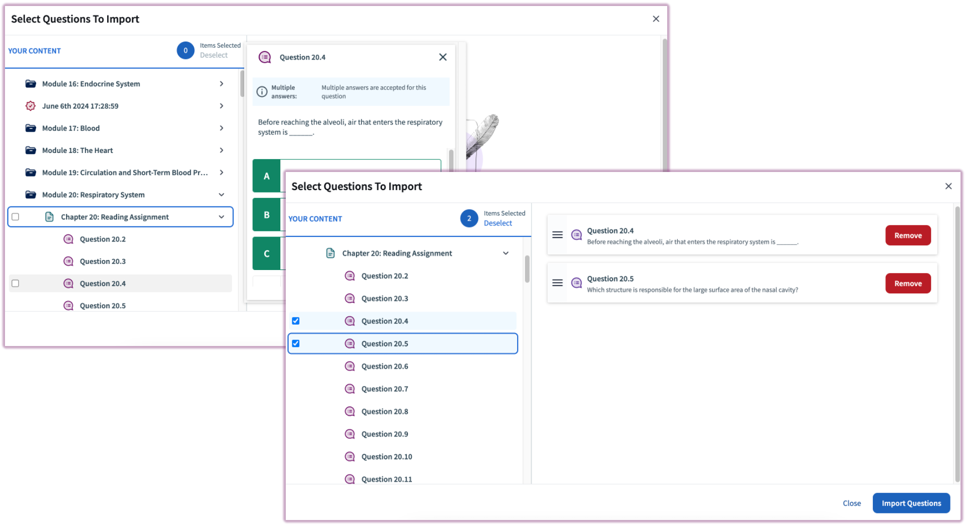 Educator: Visual and Interactive Elements Toolbar (Pages)