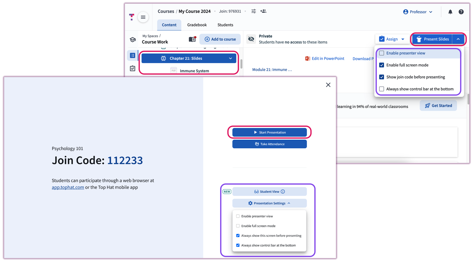Educator: Presenting Slides