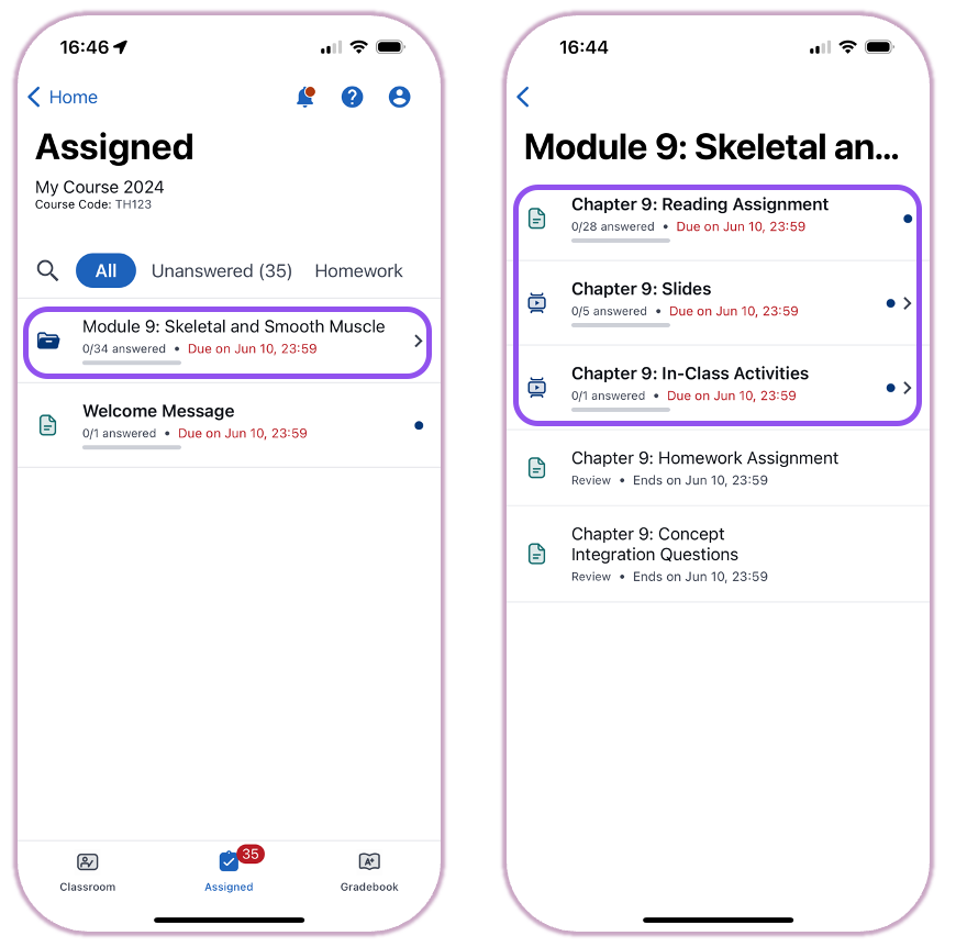Student: Pages (Course Work, Assignment Status and Page Tools)