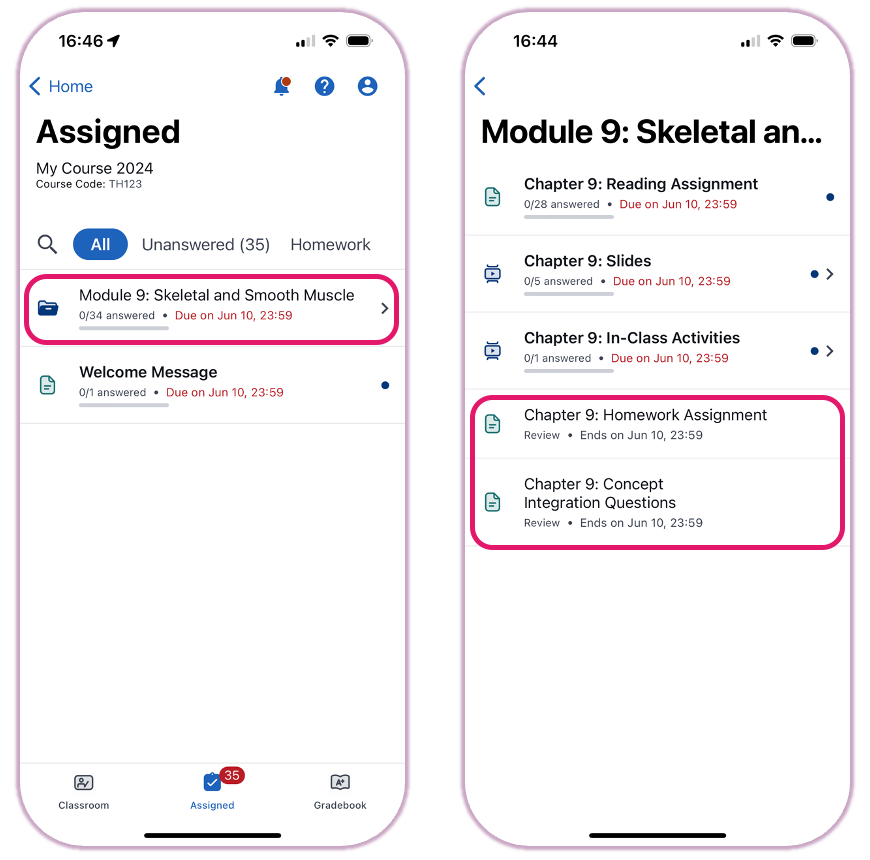 Student: Pages (Course Work, Assignment Status and Page Tools)