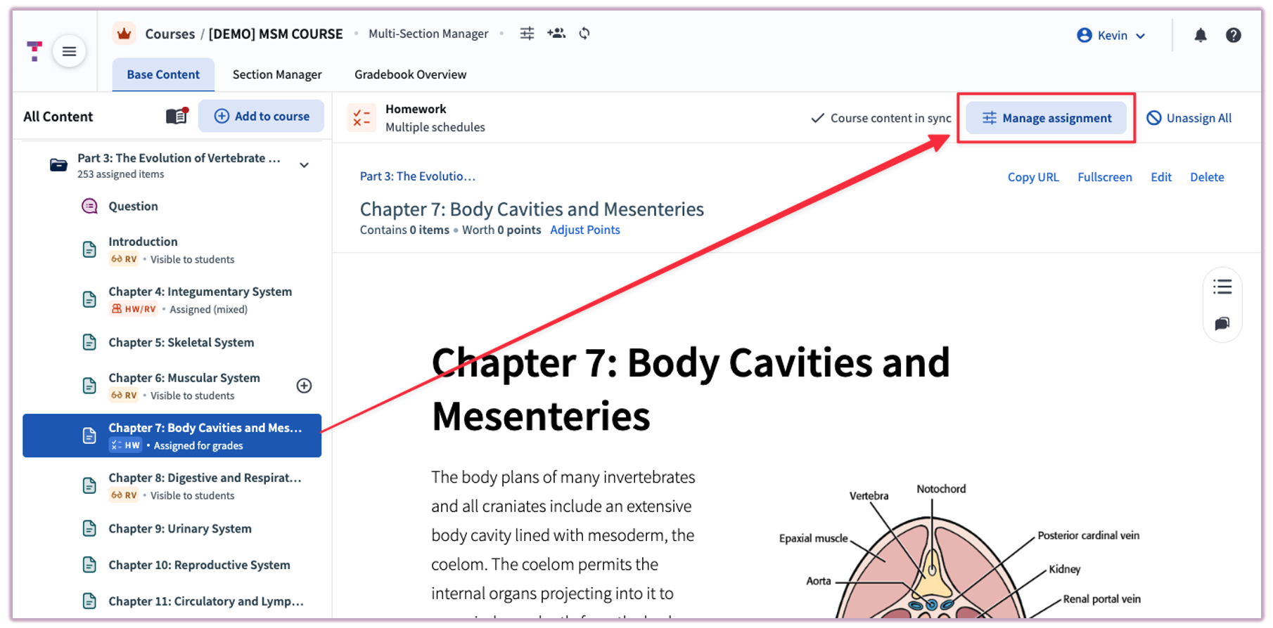 Educator: Multi-Section Courses (MSM)